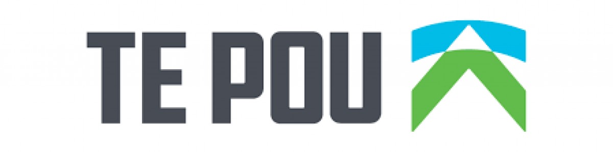 Te Pou: A Guide to Talking Therapies | Mental Health Foundation