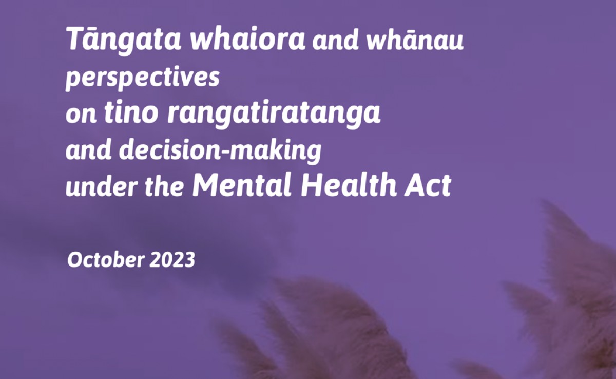 Tāngata whaiora and whānau views on decision-making | Mental Health ...