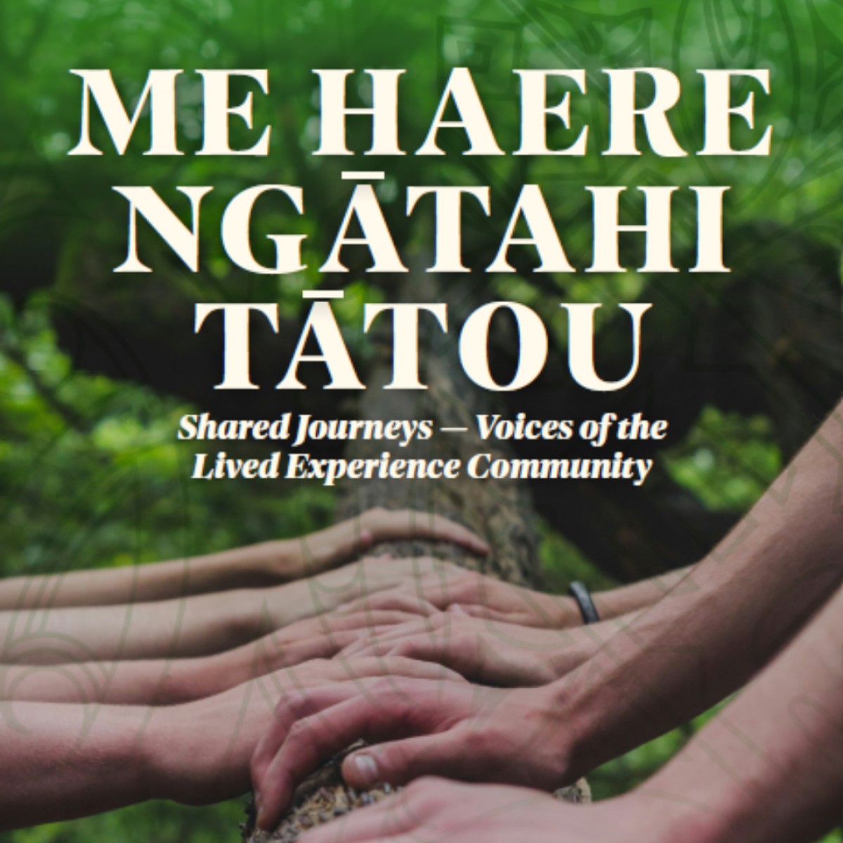 ME HAERE NGATAHI TATOU Shared Journeys — Voices of the Lived Experience ...