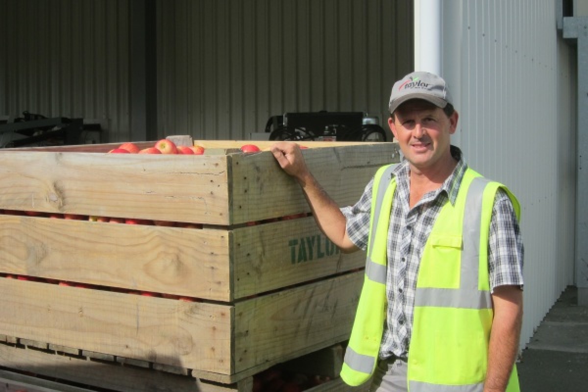 Stephen Anderson | Mental Health Foundation